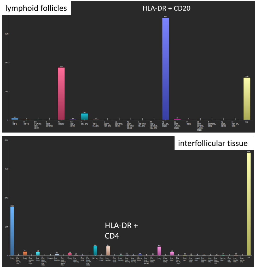 MIKAIA-Analysis of Human Tonsil 15plex Imaged with Akoya PhenoCycler ...
