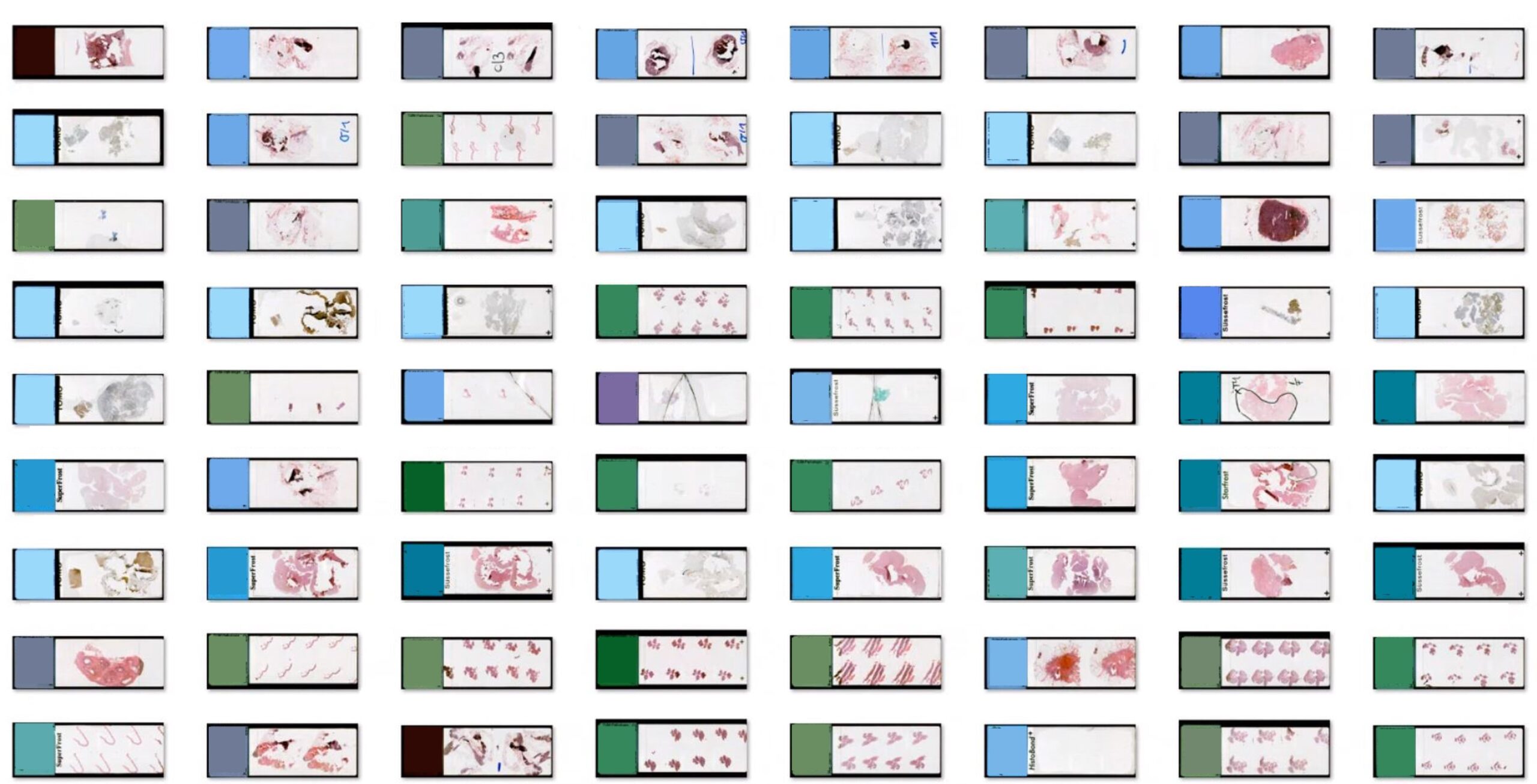 Ultimate Guide: 10 Things to Know about the Transformational Impact of ...